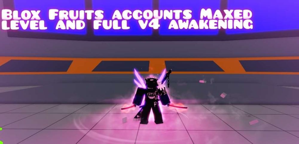 Custom Blox Fruits Account