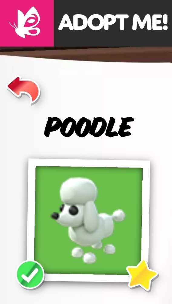 POODLE ADOPT ME