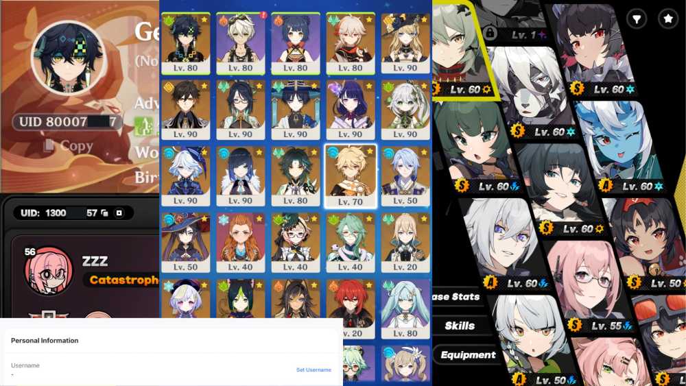 ASIA ZZZ x GI | Rare UID Username Unset | AR58 C2 (Raiden Wanderer ...