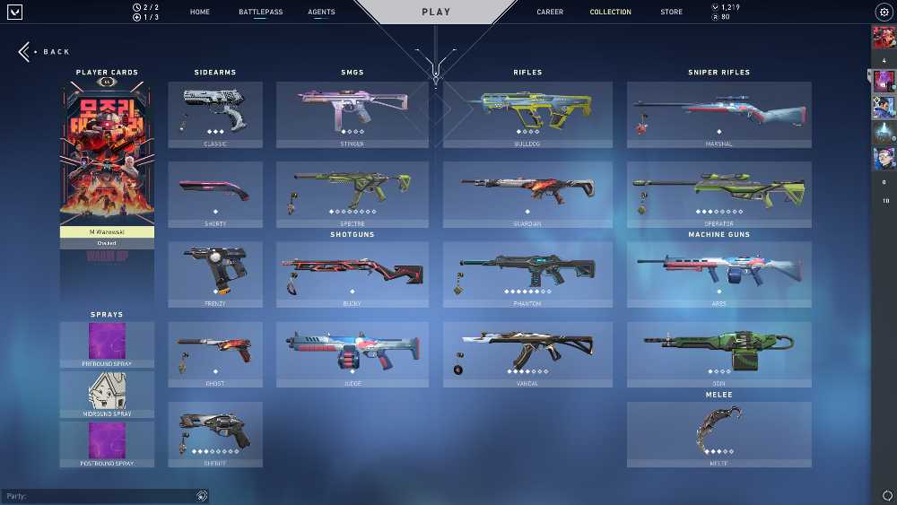 VALORANT PLAT 2 LVL 56. Lots of skins with battle pass skins. DO NOT ...