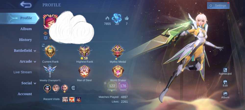 176 Skins. Prime Beatrix. M3 Roger. Claude MSC and Others