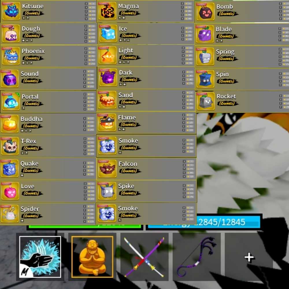 Blox fruit + Sol's rng - 25 Permanent fruit 6V3 1V4 Complete Fighting style Complete sword ...