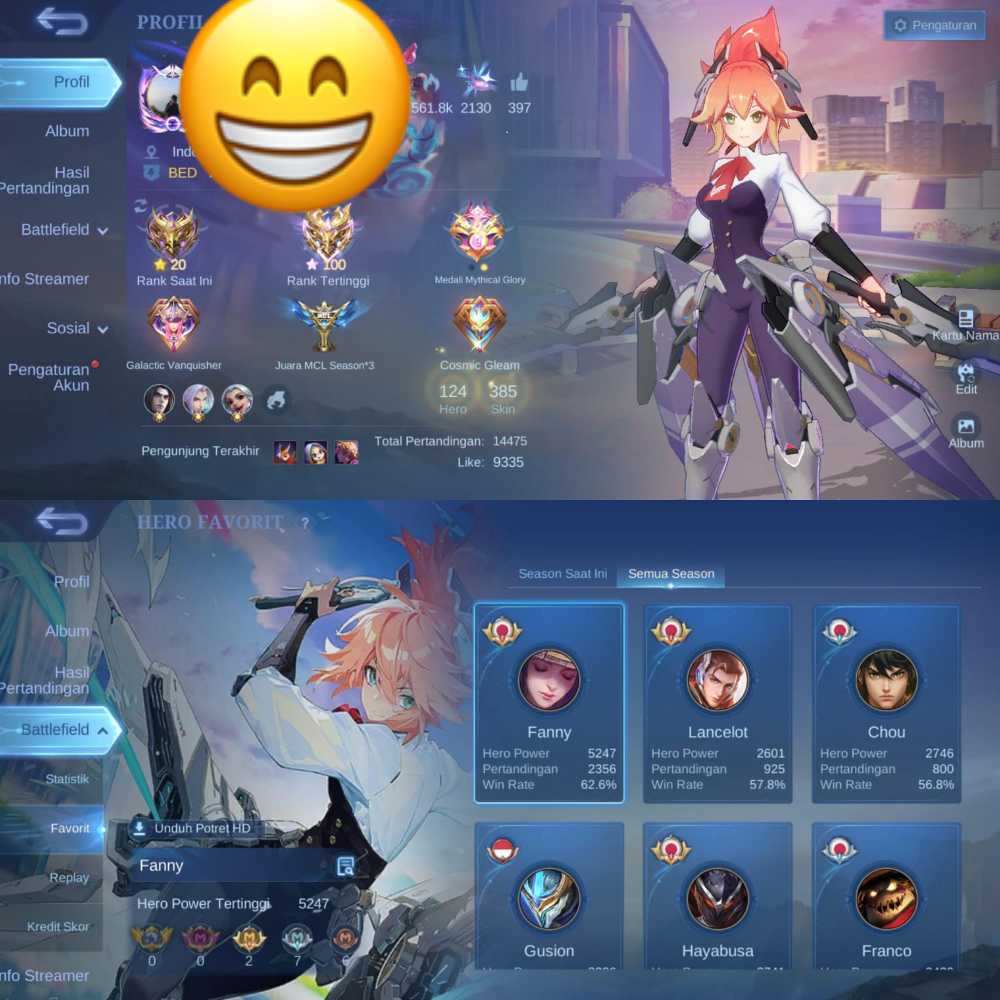 385 Skins. 2 Legend. 1 Collector. 2 Aspirant. 5 KOF. Chou Saint Seiya Gold