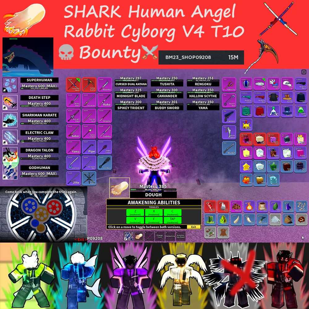 Accounts Blox Fruit Account Lv:2450Max | V4 SHARK Human Angel Rabbit ...