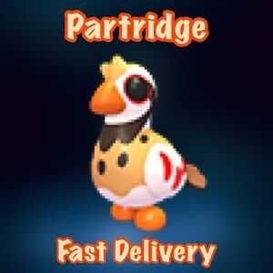 partridge MFR Adopt Me Item Roblox