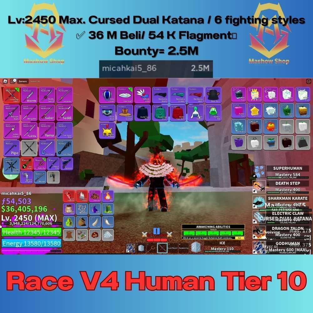 Race V4 Human V4 tier 10 Lv:2450 Max. Ice AWAKENING Cursed Dual Katana ...