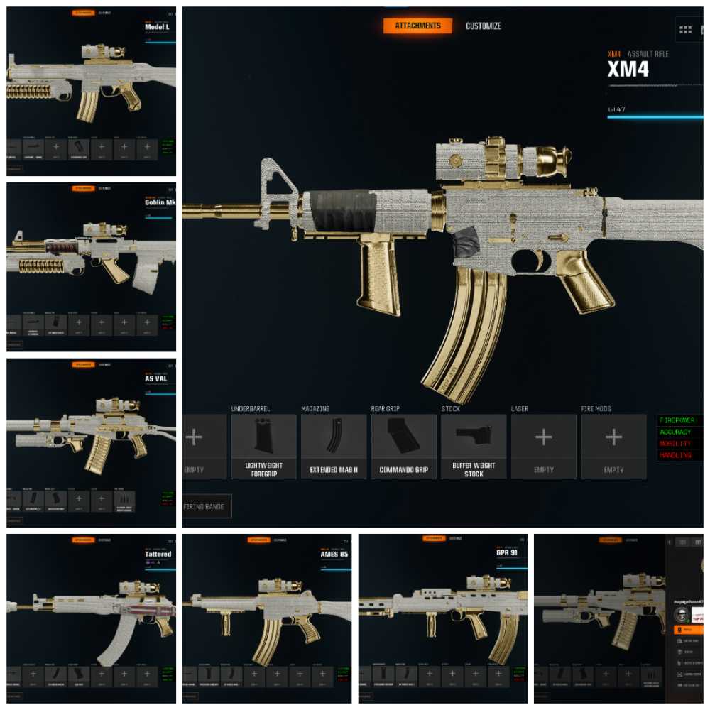 Black Ops 6 Level 55 Max Lvl ️ 10 Diamond Camo ️ 10 Gold Camo BO6 ️ ...