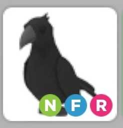 Adopt me nfr Crow