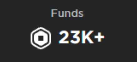 20,000 Robux (Group Funds)