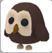 No potion Owl /-/ Adopt me /-/ Roblox