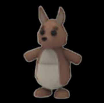 100% [Adopt Me] Kangaroo | Fast Delivery | Roblox