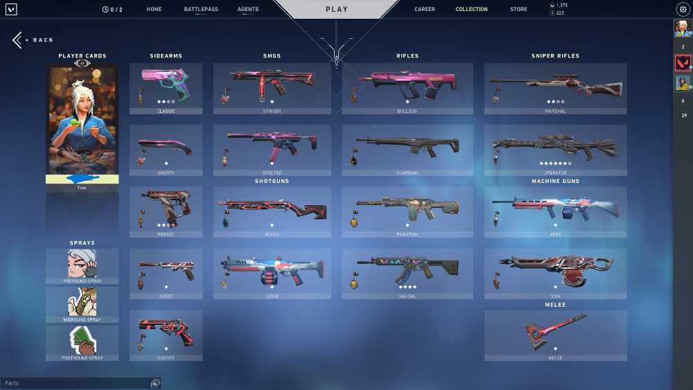 (NA) Diamond 1 Valorant account with rare skins and battle pass