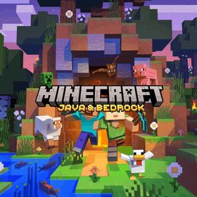 Minecraft Accounts For Sale