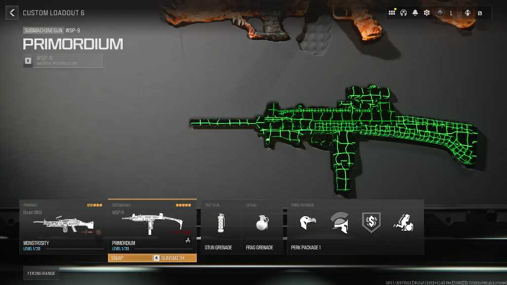 Interstellar or Any Camo | 20 Guns of Your Choice with 10 Custom ...