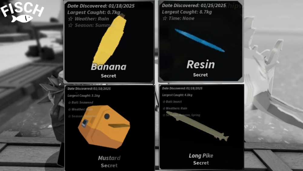 Secret Fish Pack | Fisch