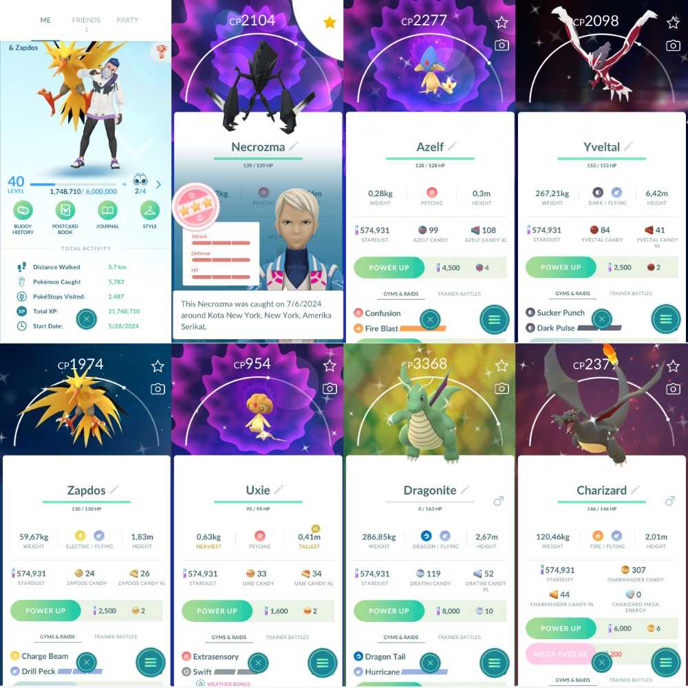 1143 LV40 Hundo necrozma. Shiny: Charizard, Gengar, floette, Dragonite ...