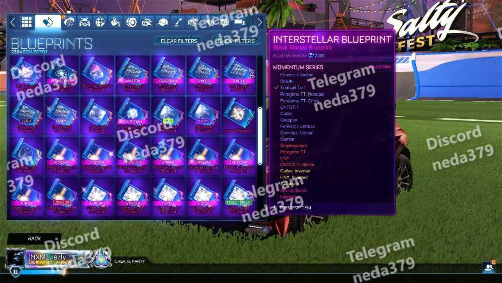 ROCKET LEAGUE ESL MONTHLY ELITE, CHAMPION STEAM ACCOUNT + RARE ITEMS