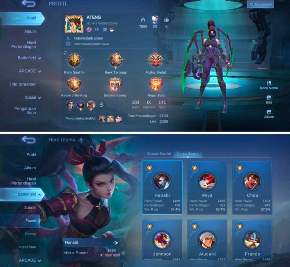 HERO 103|EMBLEM ALL MAX|SKIN 141|SKIN EPIC LIMITED CARRIE|5 SKIN EPIC ...