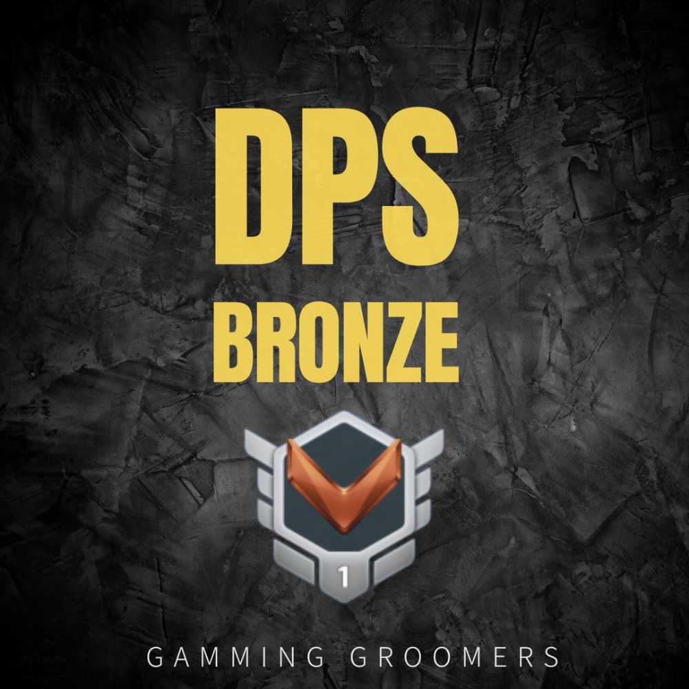 Overwatch 2 / 1 Role Bronze / DPS Bronze