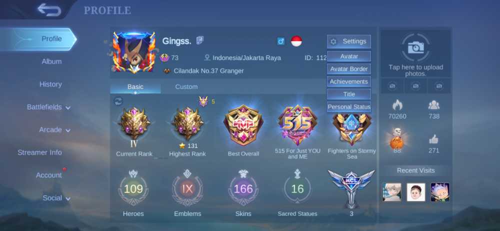 High Win rate and MMR