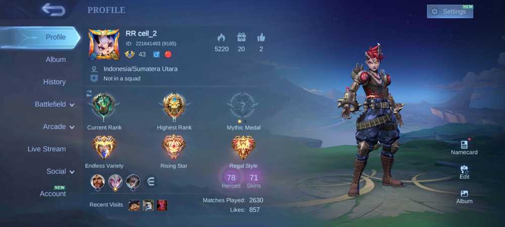 78 HEROES || 71 SKINS | KOF KARINA SKIN |SUMMER FREYA SKIN | STARLIGHT ...