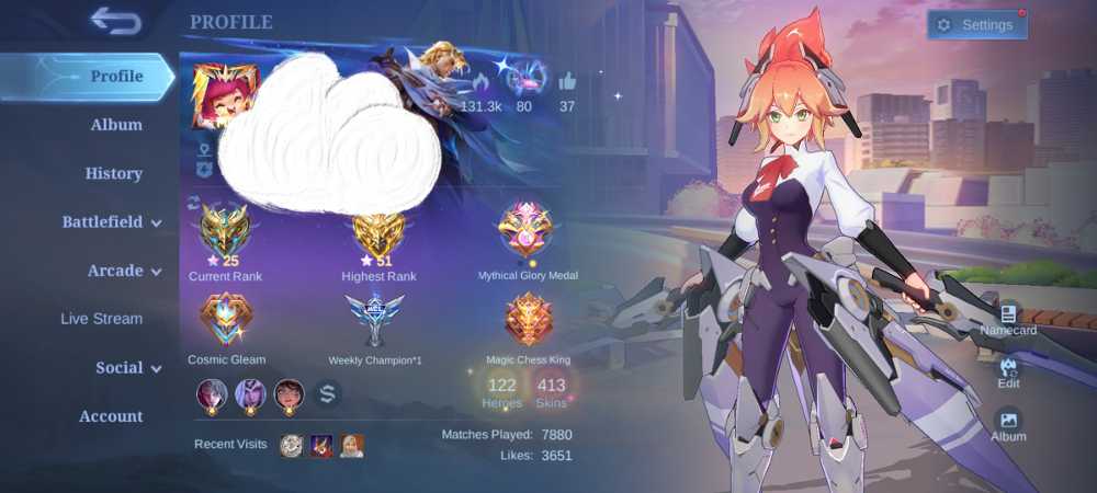 413 Skins. 1 Leg(212 MW+1.2K Coa+WDP 54D). 3 Aspirant + KOF + TF. Full ...