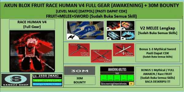 Blox Fruit Account 30M Bounty Race Human V4 Full Gear (Awakening ...