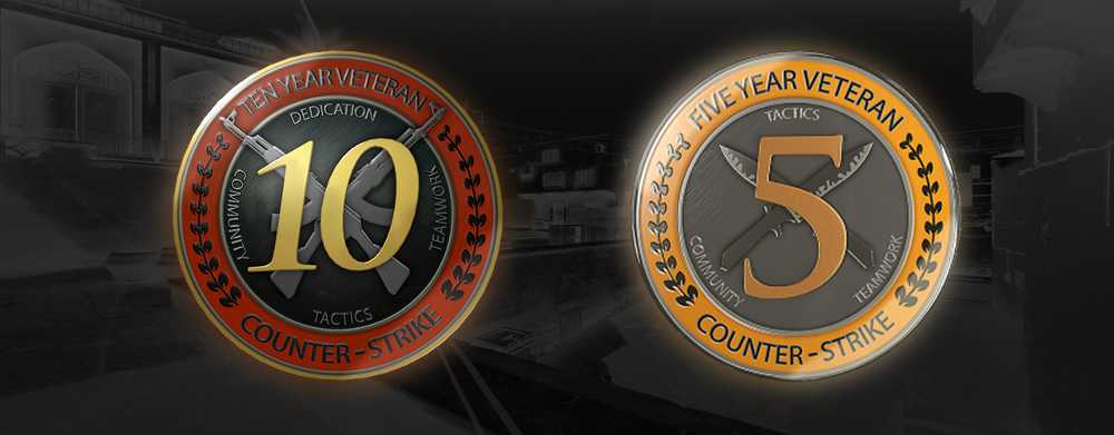 2003 STEAM 10 YEAR VETERAN COINS⭐20 YEARS SERVICE⭐7 DIG ID⭐