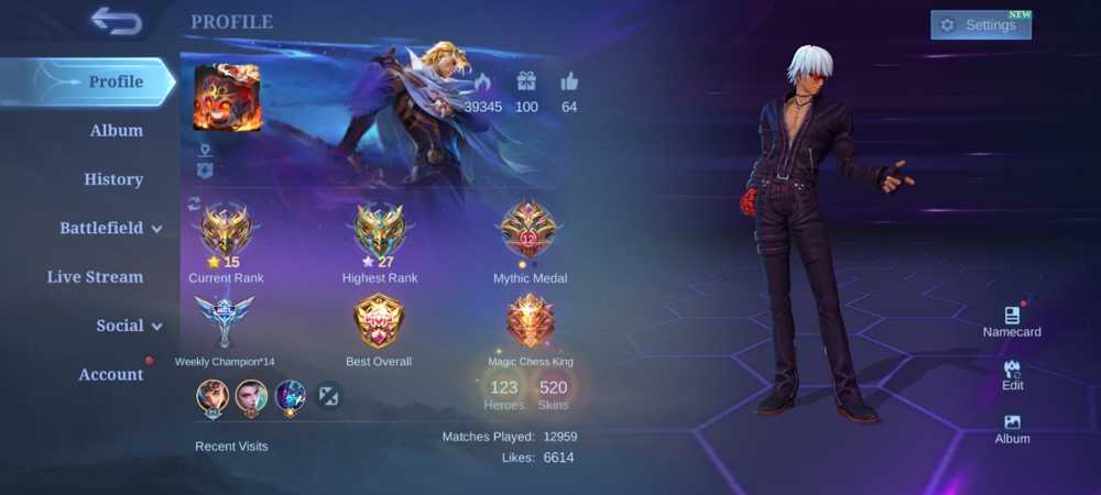 520 Skins. 4 Leg(1K COA). 1 Collector. 3 KOF + TF. 4 Anual. 1 Aspirant ...