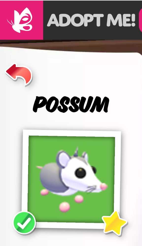 POSSUM NFR ADOPT ME