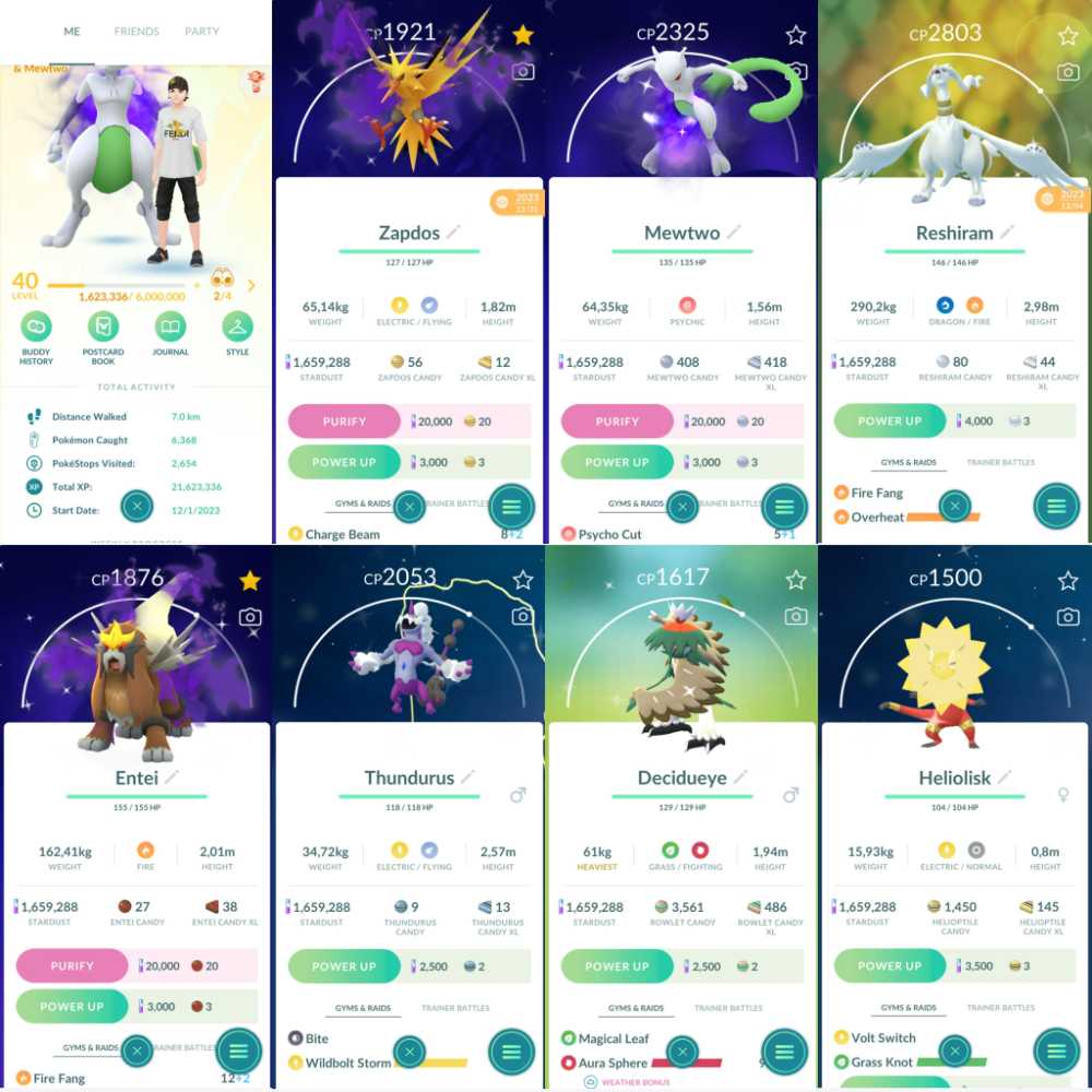 957 LV40 Shiny: shadow Mewtwo, reshiram, shadow Zapdos, shadow Entei ...