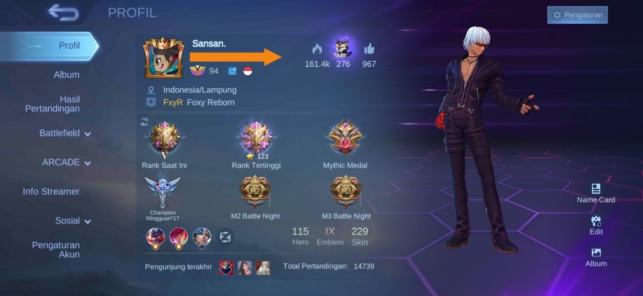 High win rate. 1 Legend skin. 3 KOF. 9 epic limited skins.