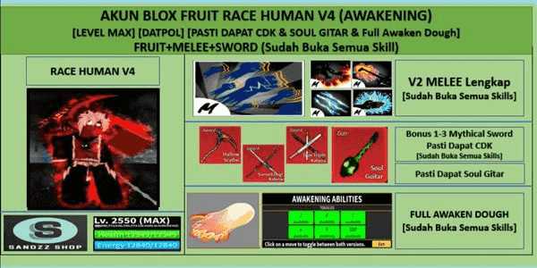 Blox Fruit Race Human V4 Account (awakening) (full Awaken Dough Cdk 