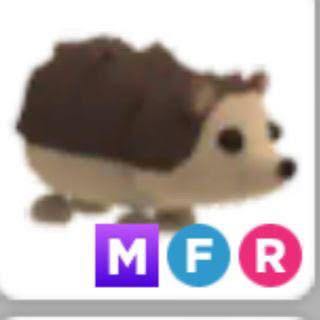 MFR HEDGEHOG - [ADOPT ME - ADOPTME - ROBLOX]