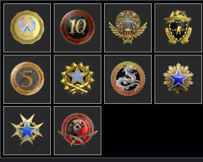 CS2 Prime+10medals(15-16-21-22 Service Medal/Silver Operation Wildfire ...