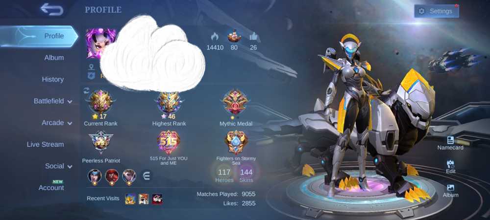 144 Skins. 6 Epic(3Limited). Claude MSC and Others