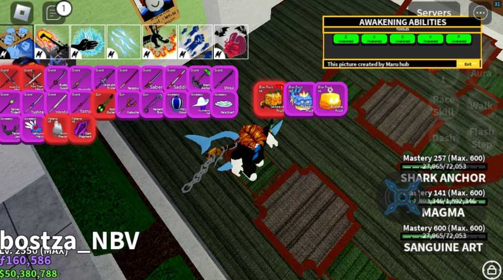 Shark V4 T10 - Level 2550 | Sanguine art | CDK | Shark anchor | Blox Fruits Account Race V4 FULL ...