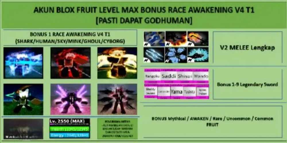 blox fruit | Level 2550-2600 | 1 Race Awakening V4 T1 | 1 fruit ( Full awaken, Mythical, Rare ...