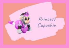 (2) Princess Capuchin fr adopt me