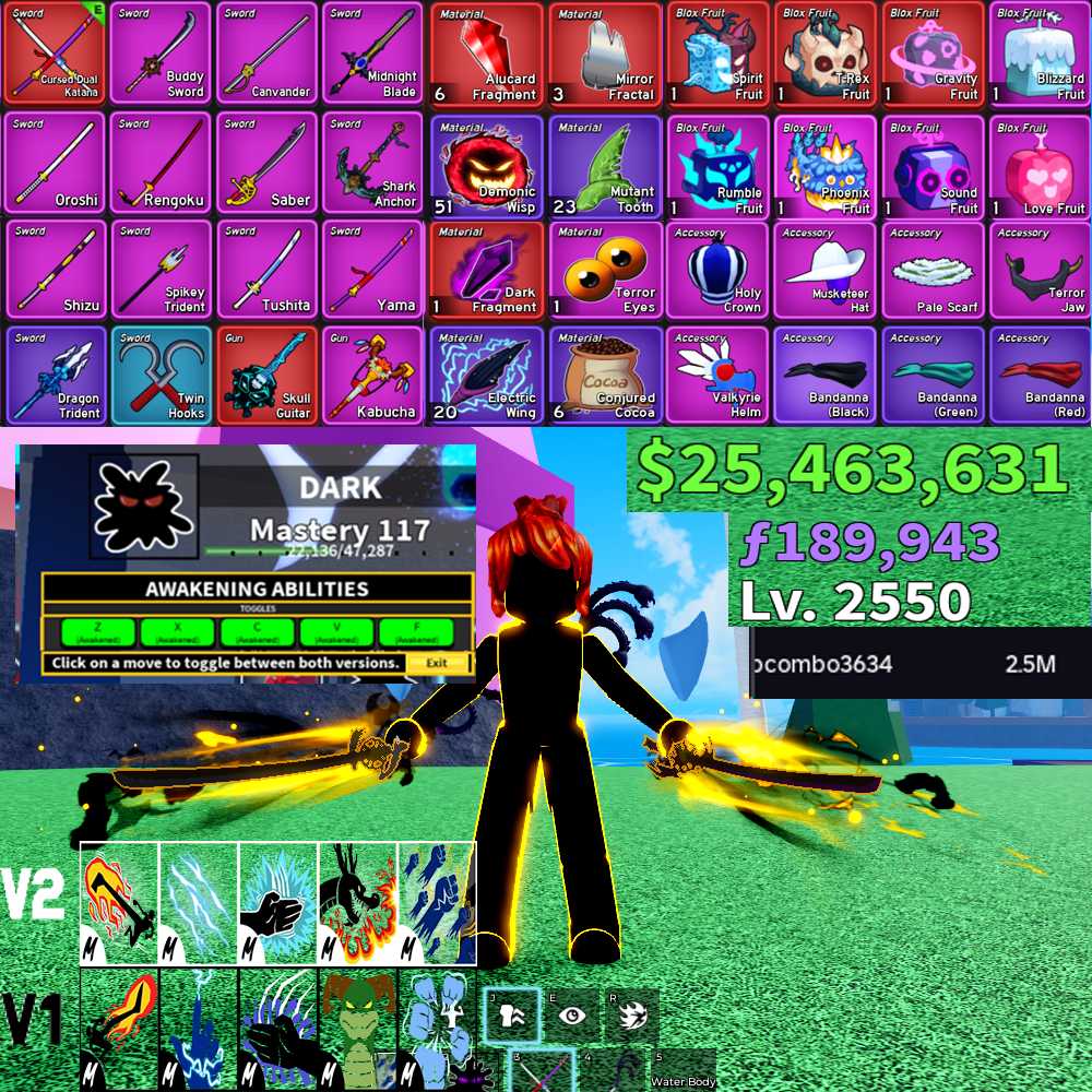 Blox Fruits | Lv 2550 | Godhuman | SharK V3 | Awaken Dark | Cursed Dual ...