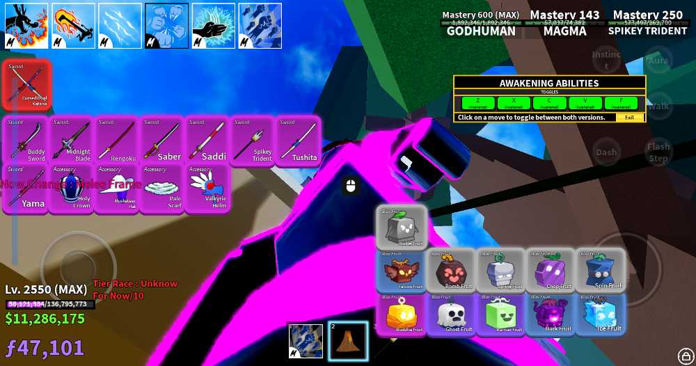 [Blox Fruits]Lvl 2550+GODHUMAN+CDK+ rainbow haki+ Fully awakened MAGMA ...