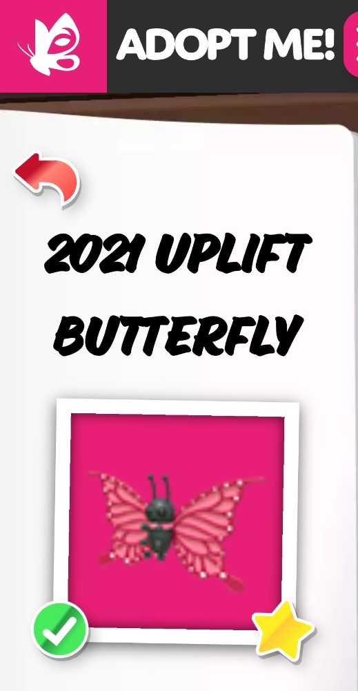 2021 Uplift Butterfly FR